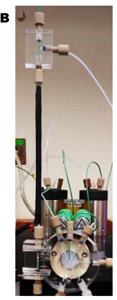 Flow Injection Tutorial