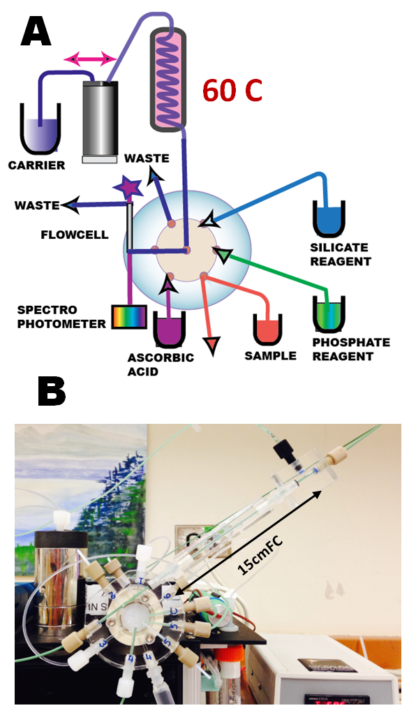 Flow Injection Tutorial