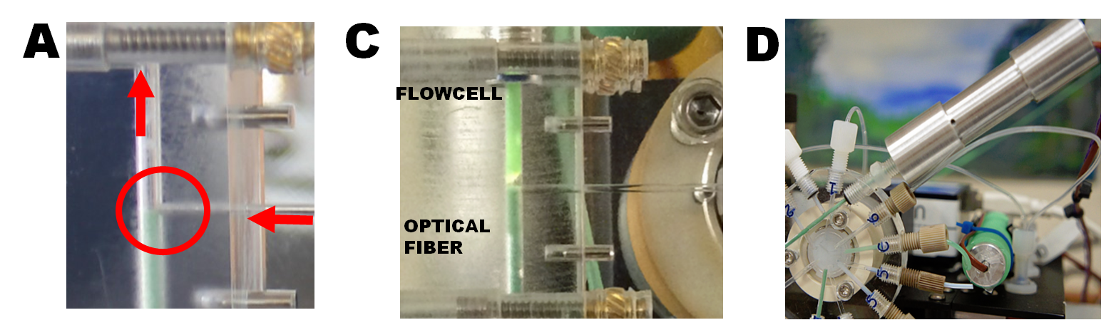 Flow Injection Tutorial
