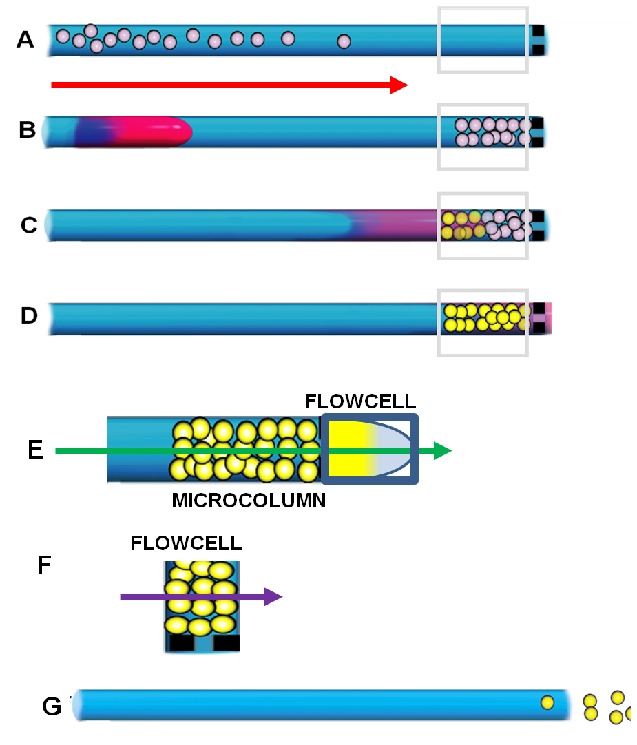 Flow Injection Tutorial