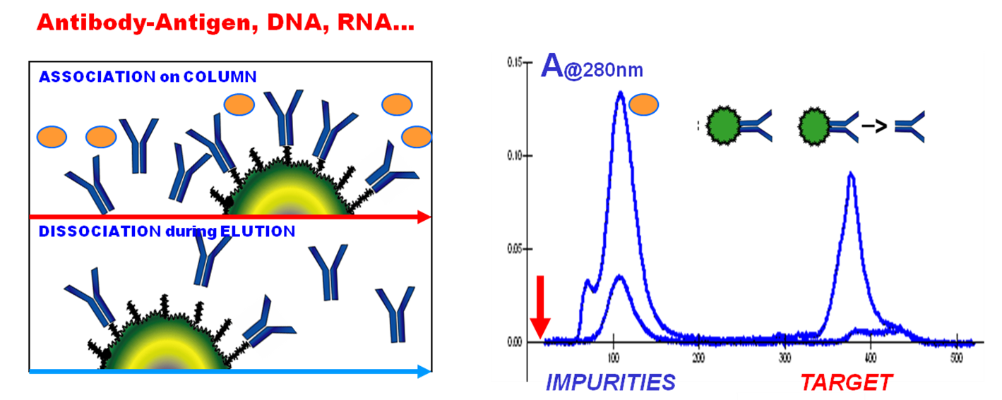 Flow Injection Tutorial