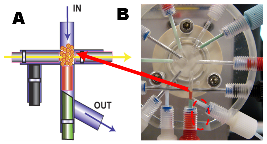 Flow Injection Tutorial