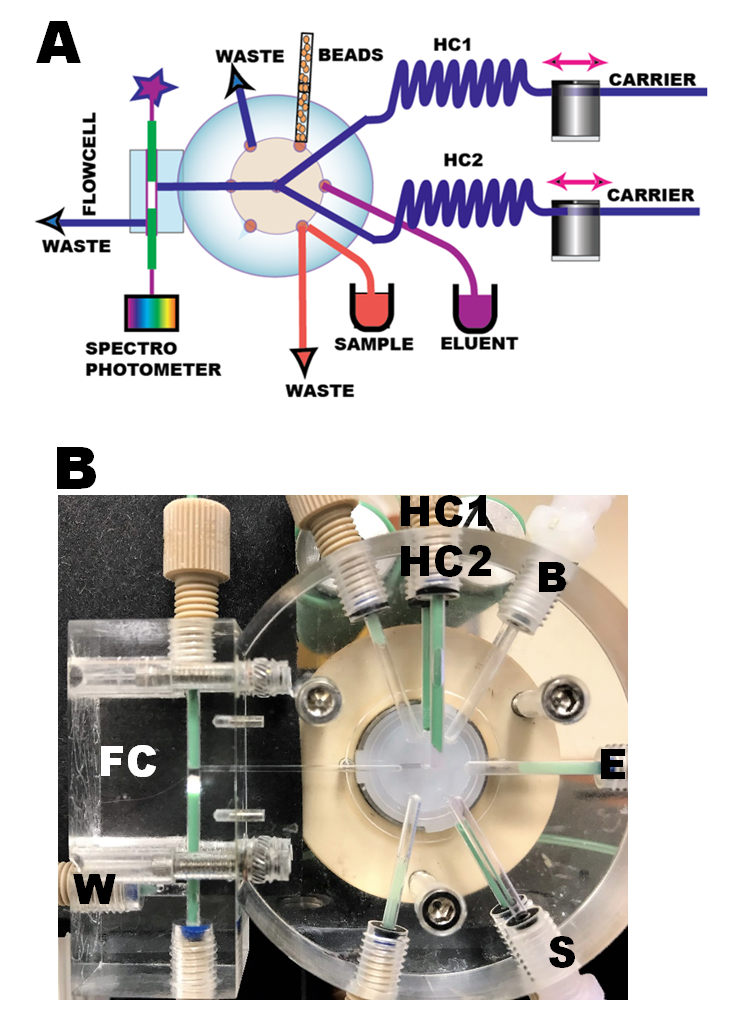 Flow Injection Tutorial