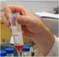 Flow Injection Tutorial