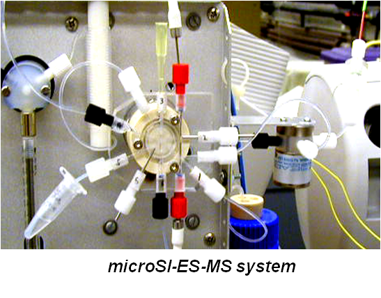 Flow Injection Tutorial