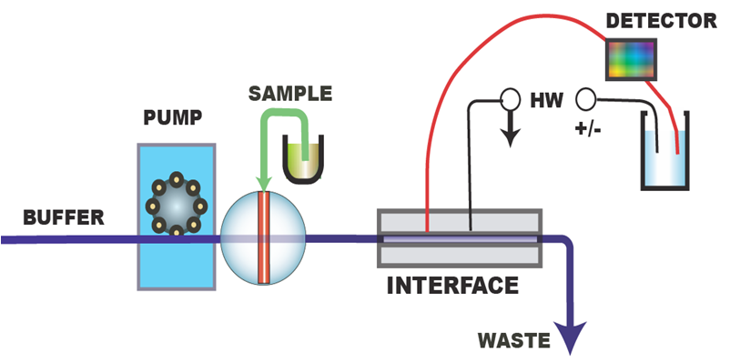 Flow Injection Tutorial