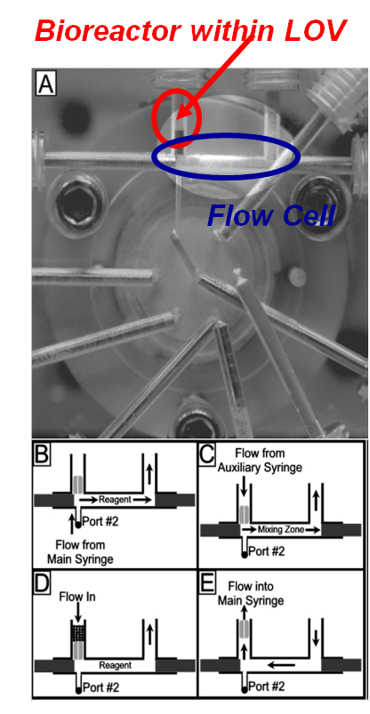Flow Injection Tutorial