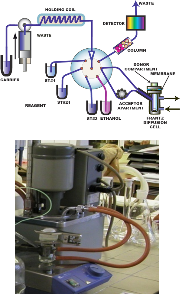 Flow Injection Tutorial